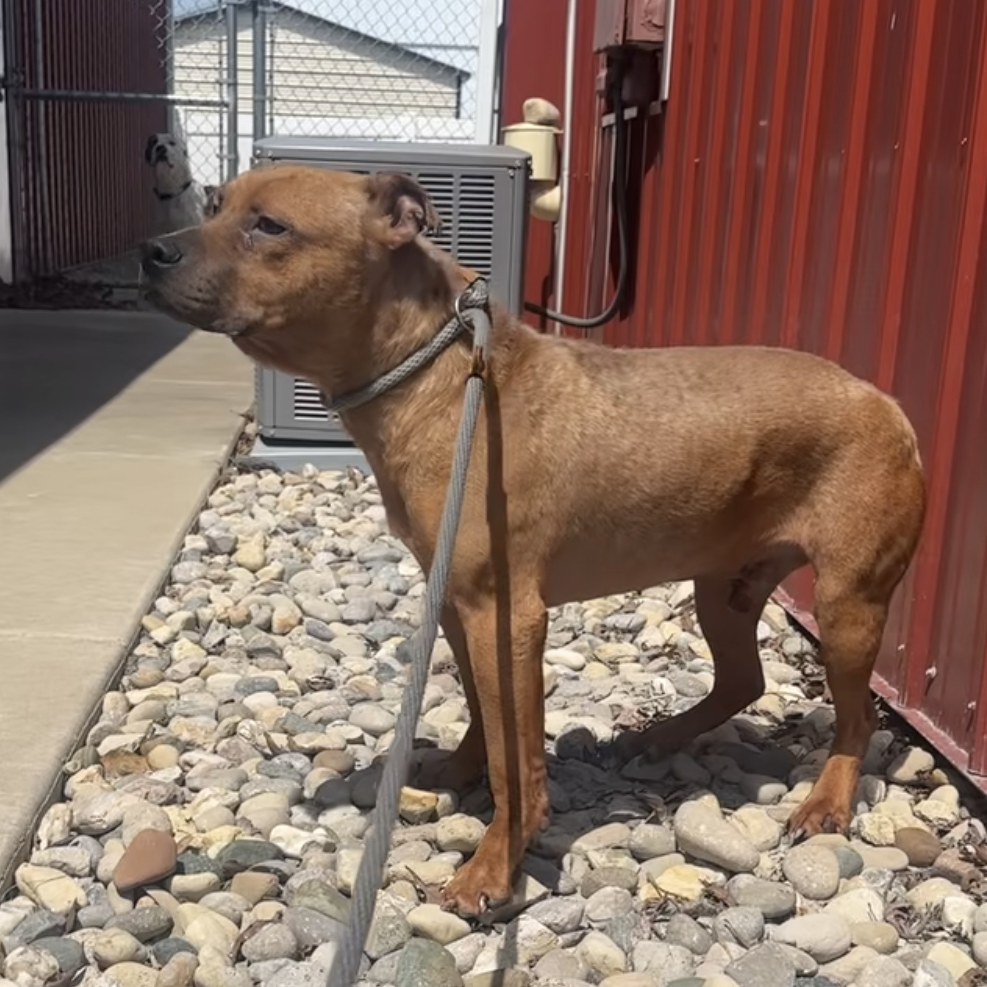 Miles: Extraordinary in Every Way